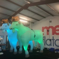 Gallery One - Featured - Megaflatables