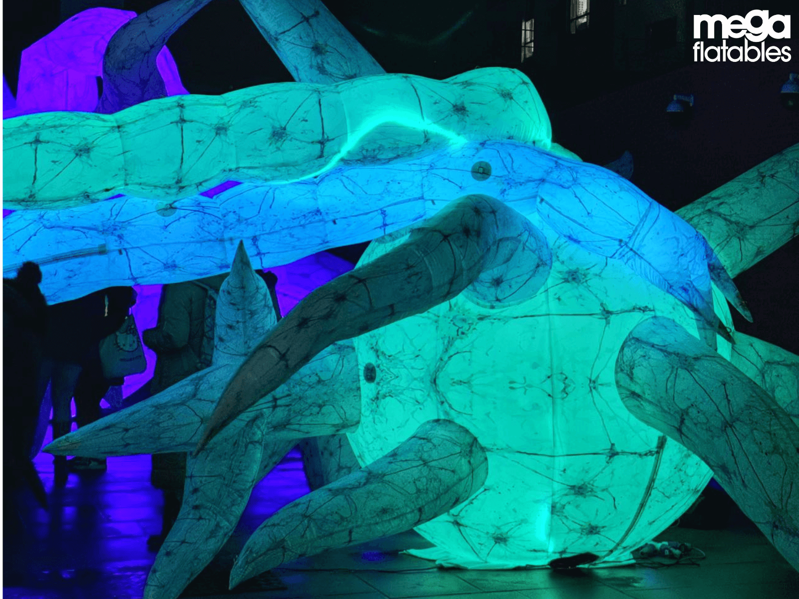 Glowing Inflatables, Glowing Inflatables For Sale and Hire