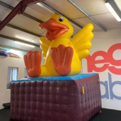 Giant Inflatable Animals, Custom Animal Inflatables