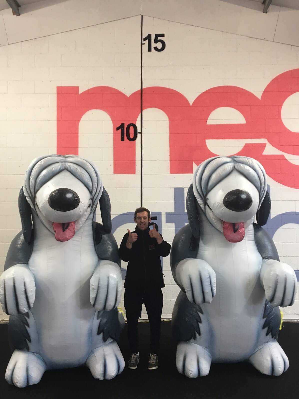 Giant Inflatable Animals, Custom Animal Inflatables