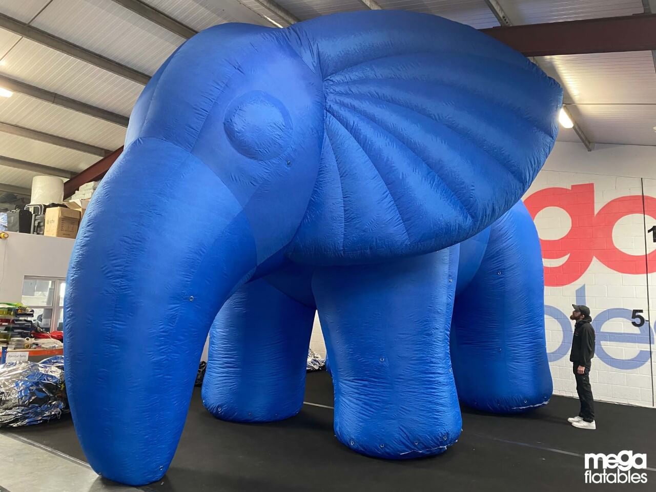 Inflatable Animals, Advertising With Custom Inflatable Animals