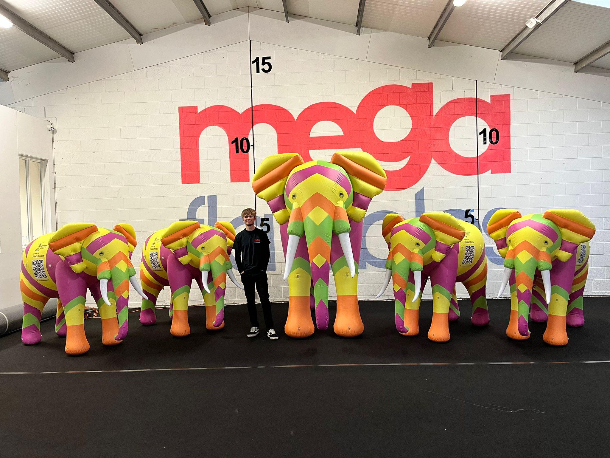 Giant Inflatable Animals, Custom Animal Inflatables