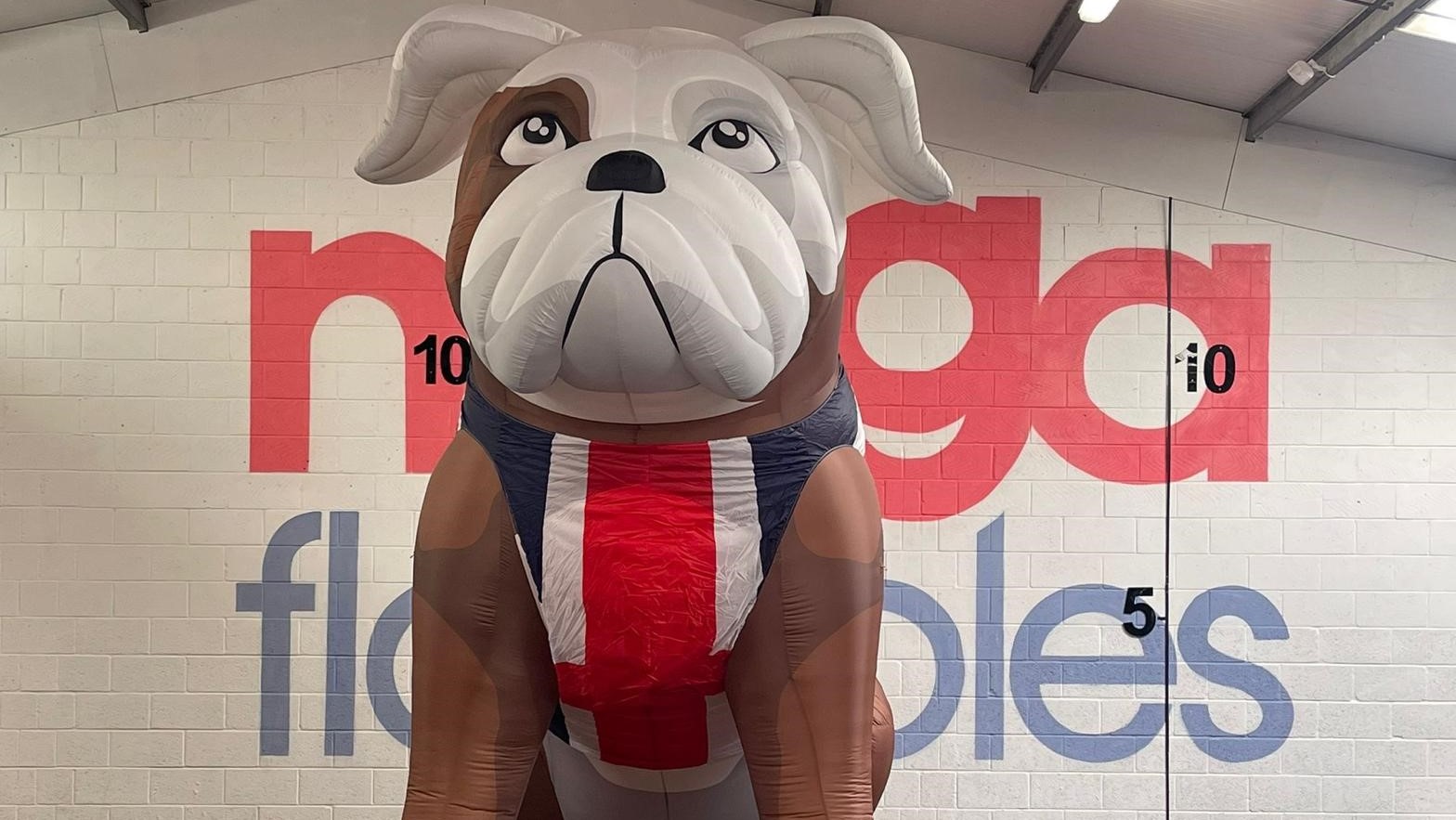 Inflatable Rentals, Event Inflatables for Hire