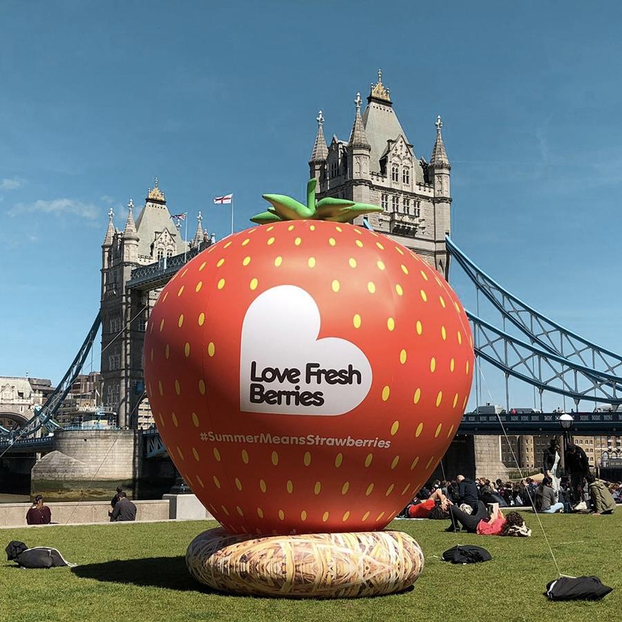 Promotional Inflatables, Design & Order Promotional Blow Ups