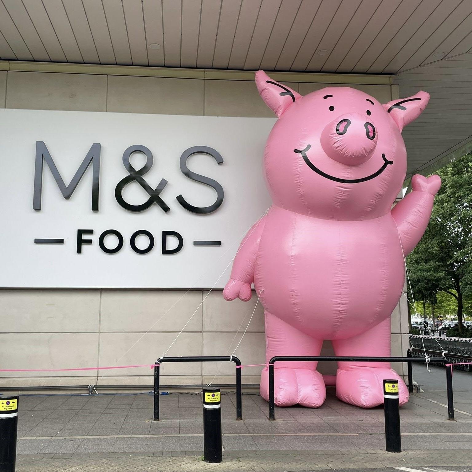 Promotional Inflatables, Design & Order Promotional Blow Ups