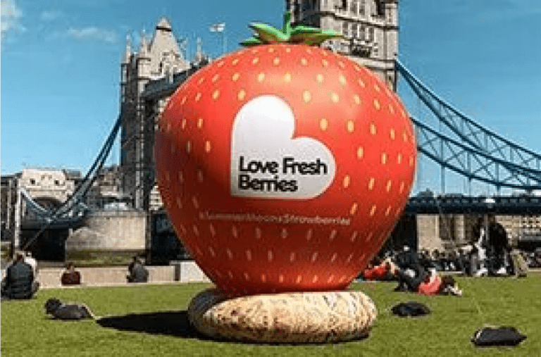 Inflatable Rentals, Event Inflatables for Hire