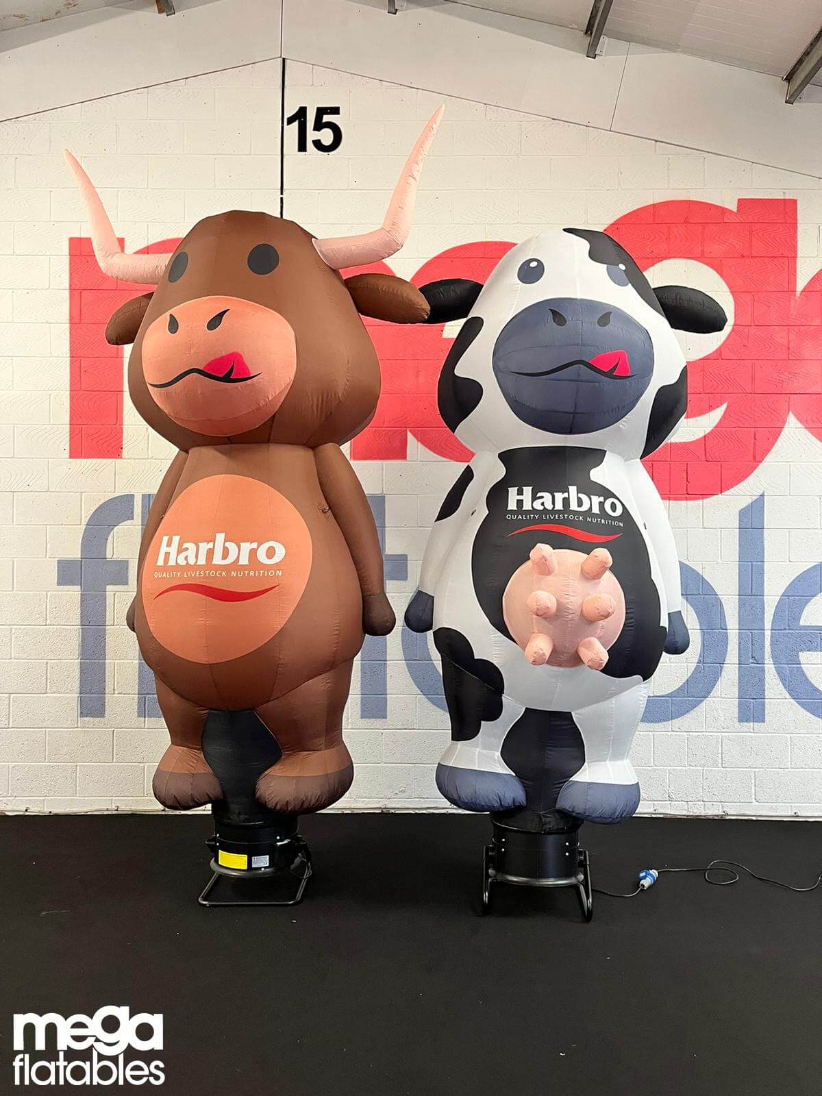 Giant inflatable characters, custom inflatable figures